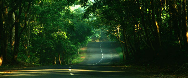 MAREDUMILLI RESORTS - 2023 (with Prices) - 9110377536